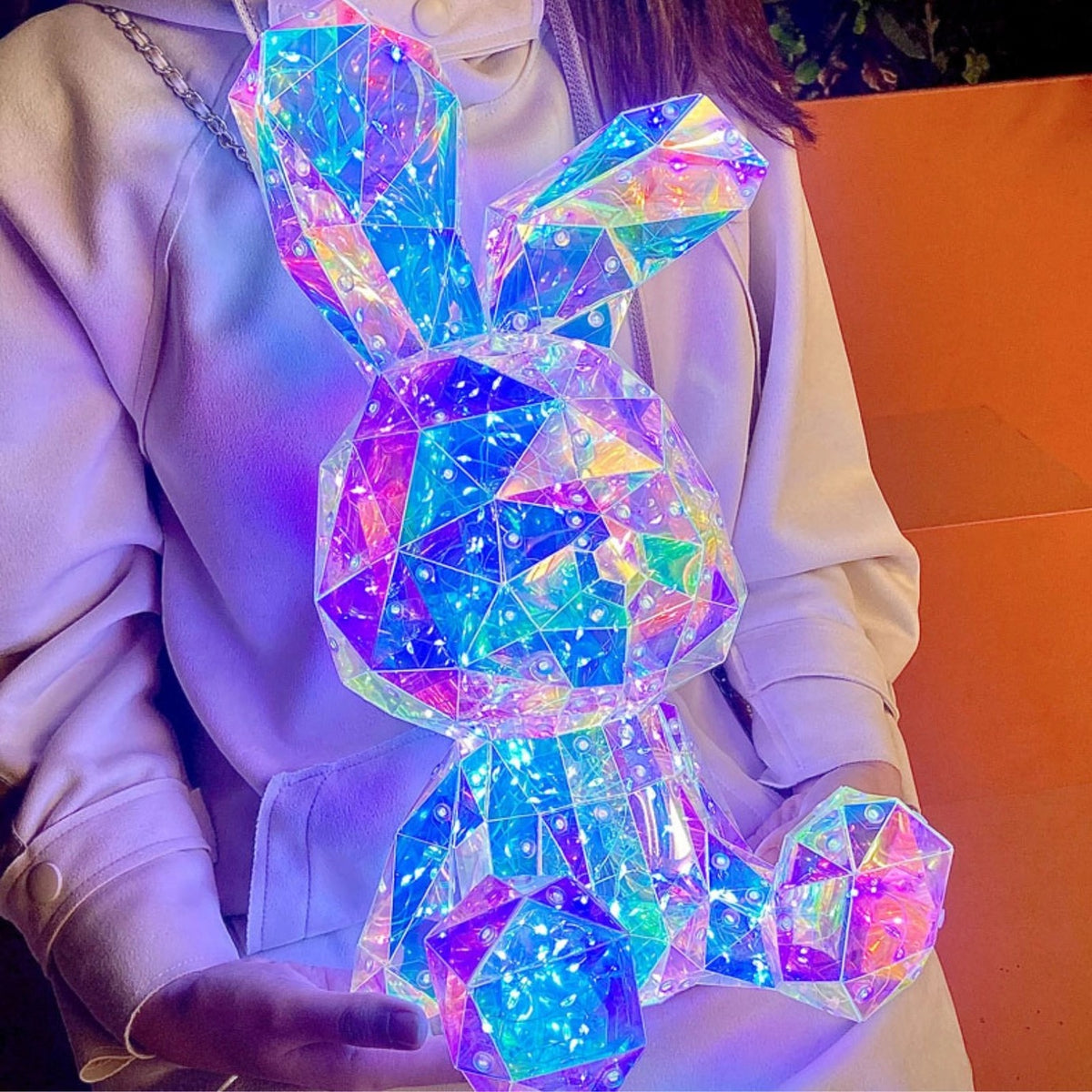 Bunny Led Light – SallyCentigrade